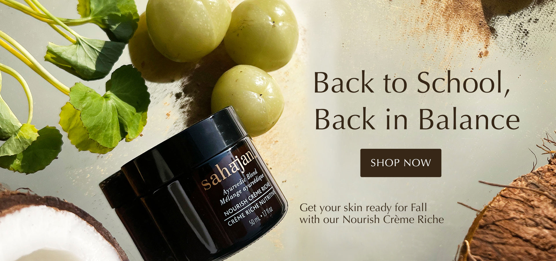 Sahajan: The Science of Intuition